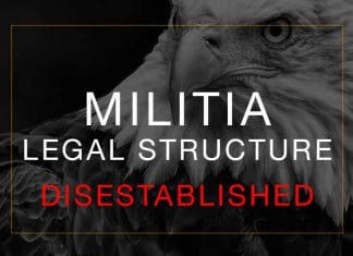 Home | Constitutional Militia